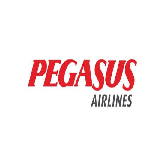 40% OFF PEGASUS Discount Codes for️ December 2025