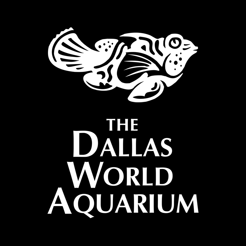 60% OFF The Dallas World Aquarium Discount Codes for️ November 2025